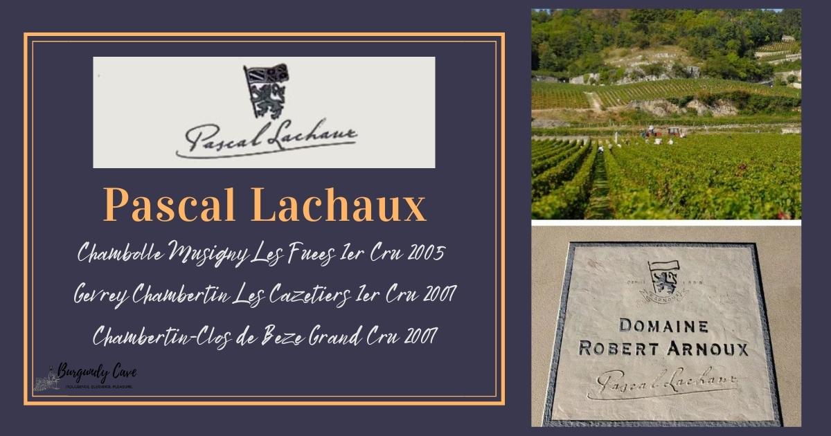 Starting from HK$990 per Bt, Beautifully Aged Pascal Lachaux from 2005 – Burgundy Cave