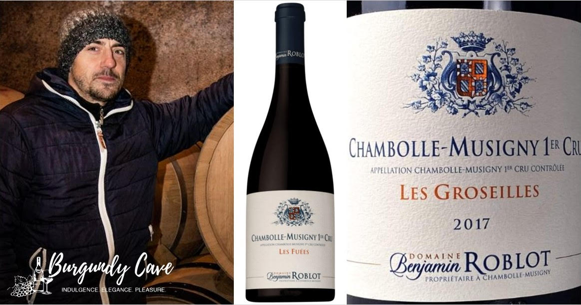 A Rising Star in Chambolle: Benjamin Roblot Chambolle-Musigny 1er Cru ...