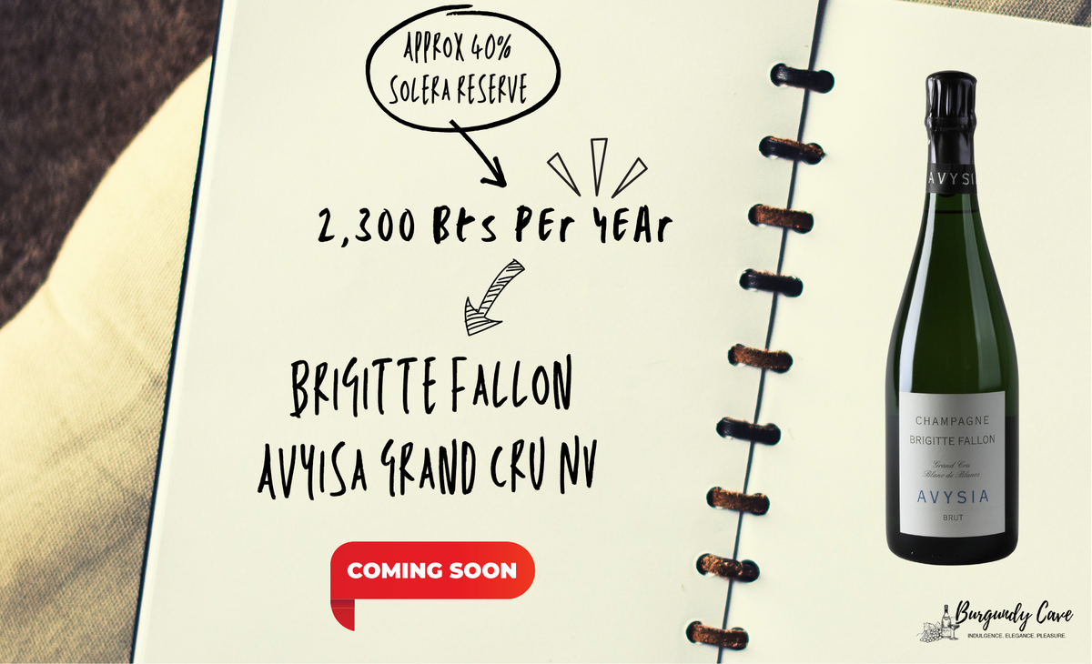 New Release, 35% Cheaper than Michel Fallon Ozanne: Brigitte Fallon Av ...