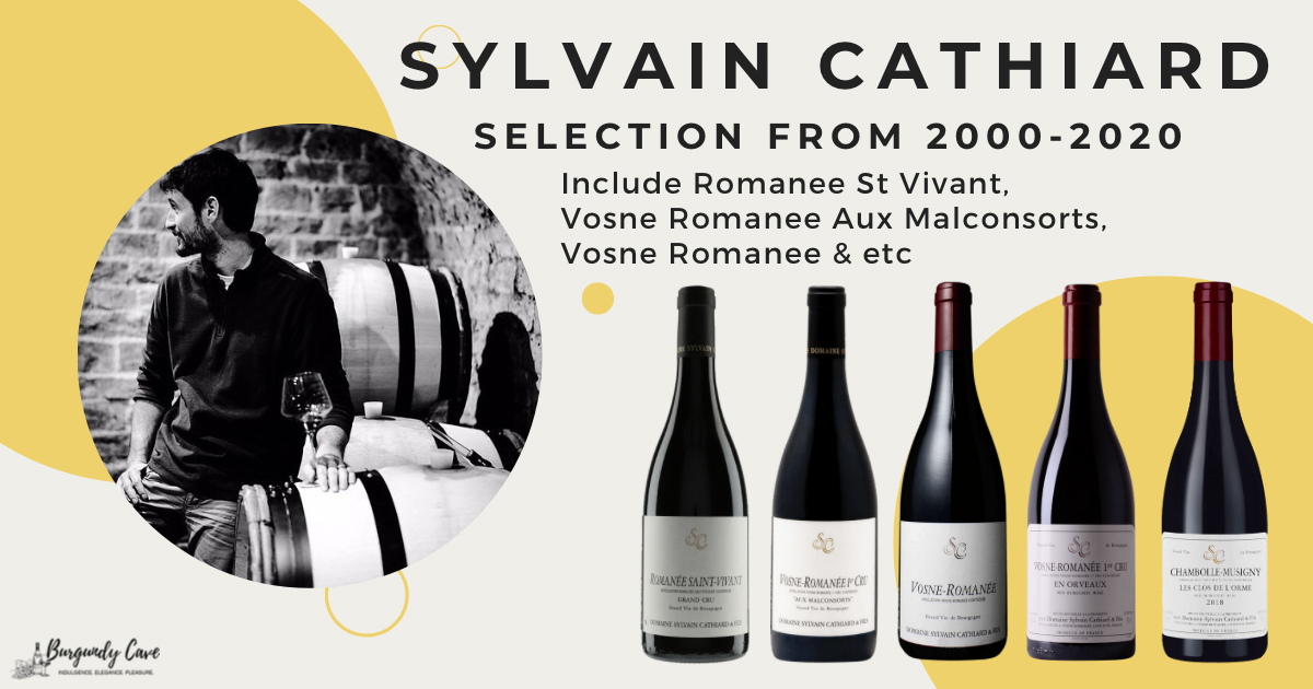 Sylvain Cathiard Selection from 2000-2020 ️ – Burgundy Cave