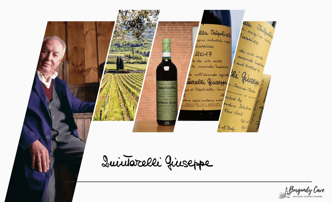 🇮🇹Direct from Giuseppe Quintarelli, Latest Release – Burgundy Cave