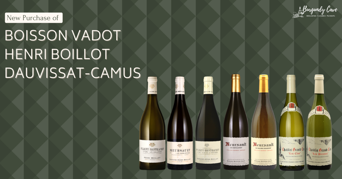 New Purchase of Boisson Vadot, Henri Boillot and Dauvissat-Camus ...