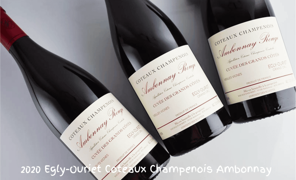 The Best Still Red Wine in Champagne: 2020 Egly-Ouriet Coteaux Champen ...