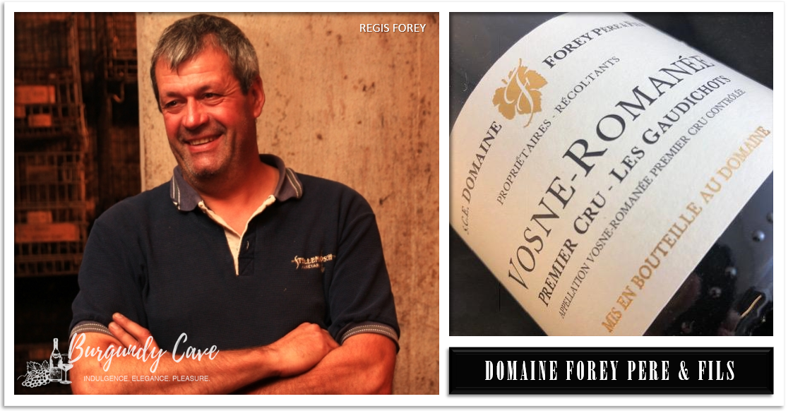 Bordering La Tâche, Forey Vosne-Romanée Les Gaudichots 1er Cru 2017 in ...