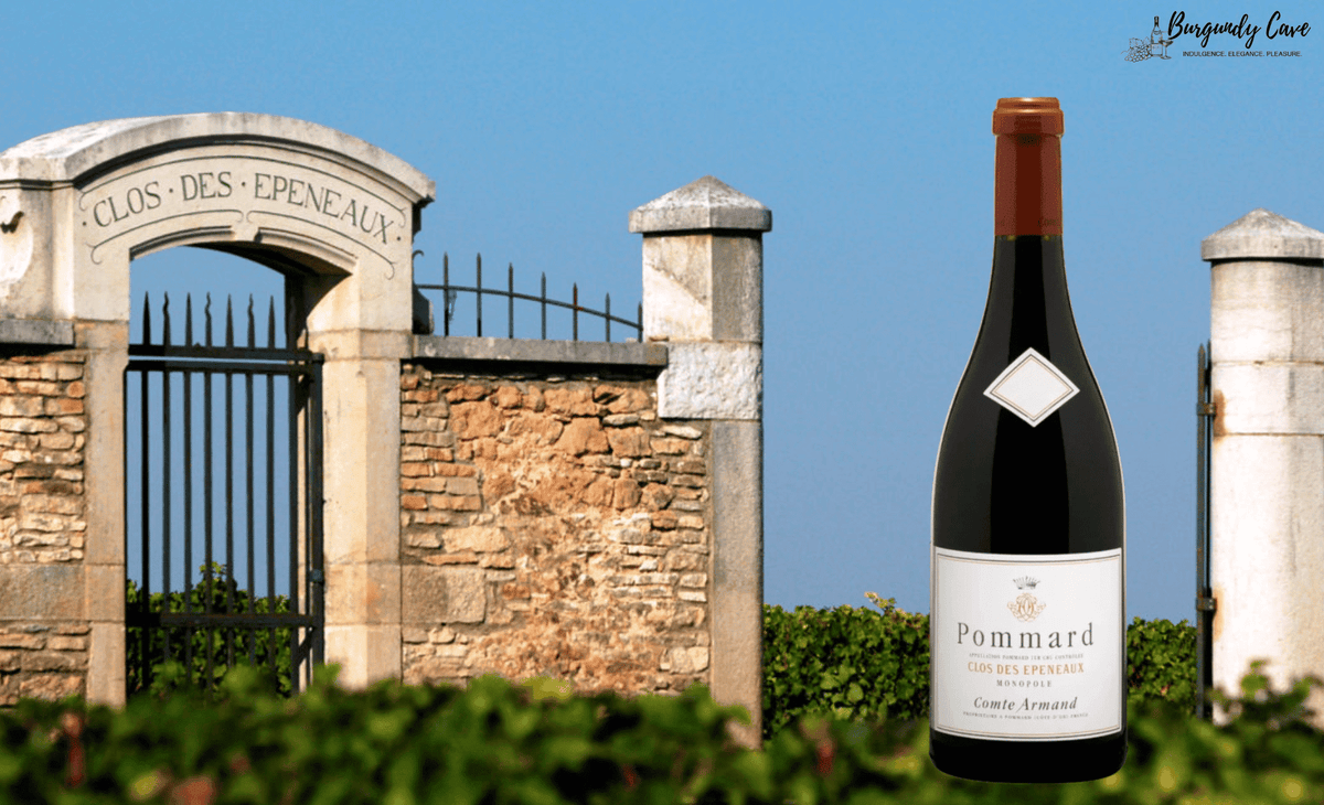95pts Allen Meadows Blockbuster, Comte Armand Pommard Clos des Epeneau ...