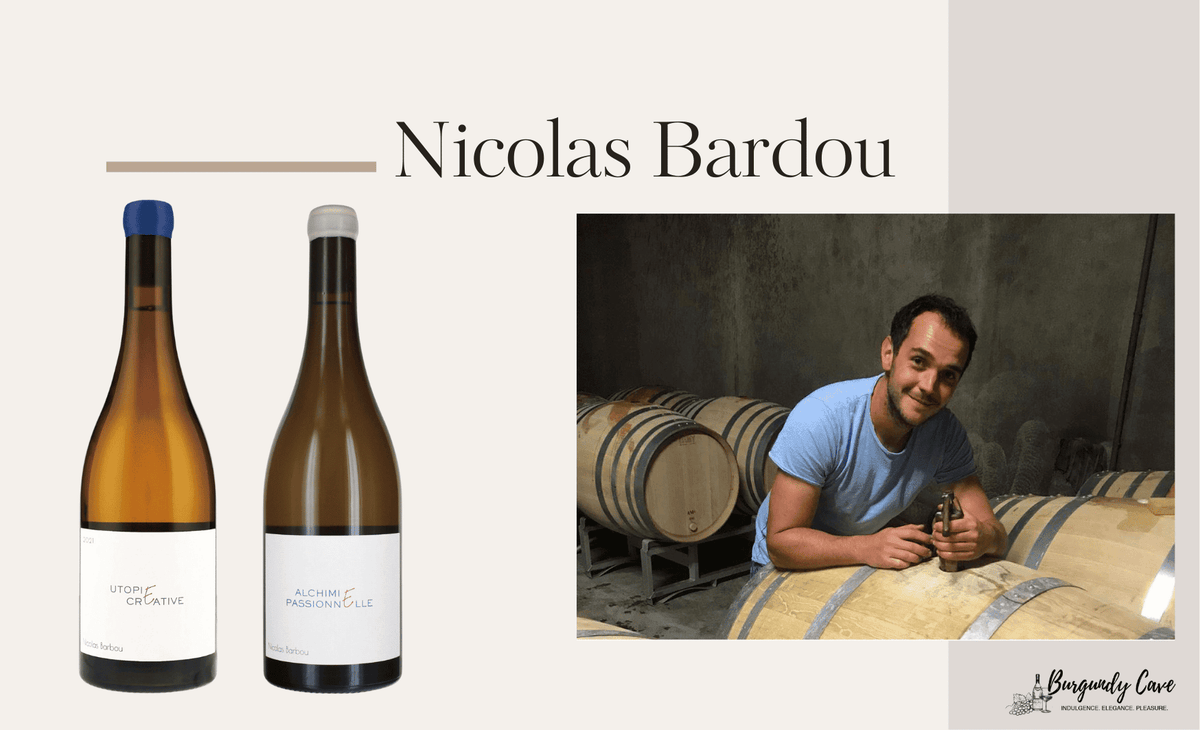 New Release! A Talented Winemaker in Loire, Nicolas Barbou – Burgundy Cave