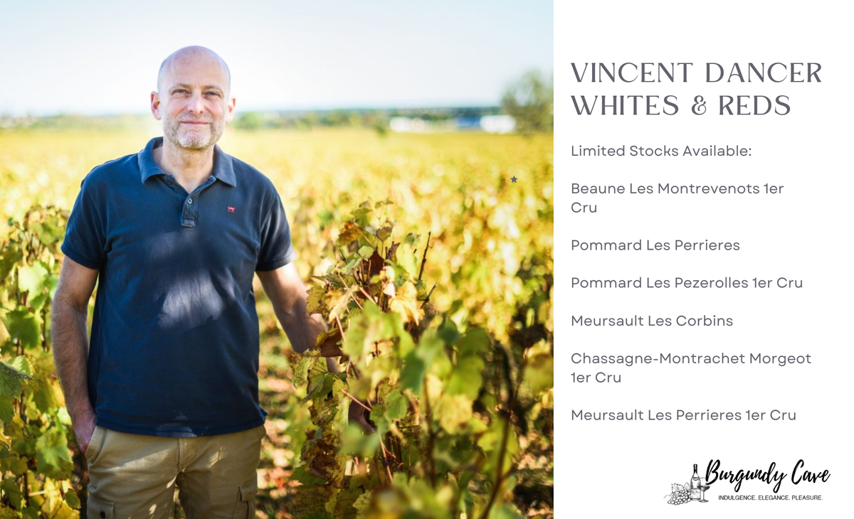 New Additions of Vincent Dancer Reds and Whites – Burgundy Cave